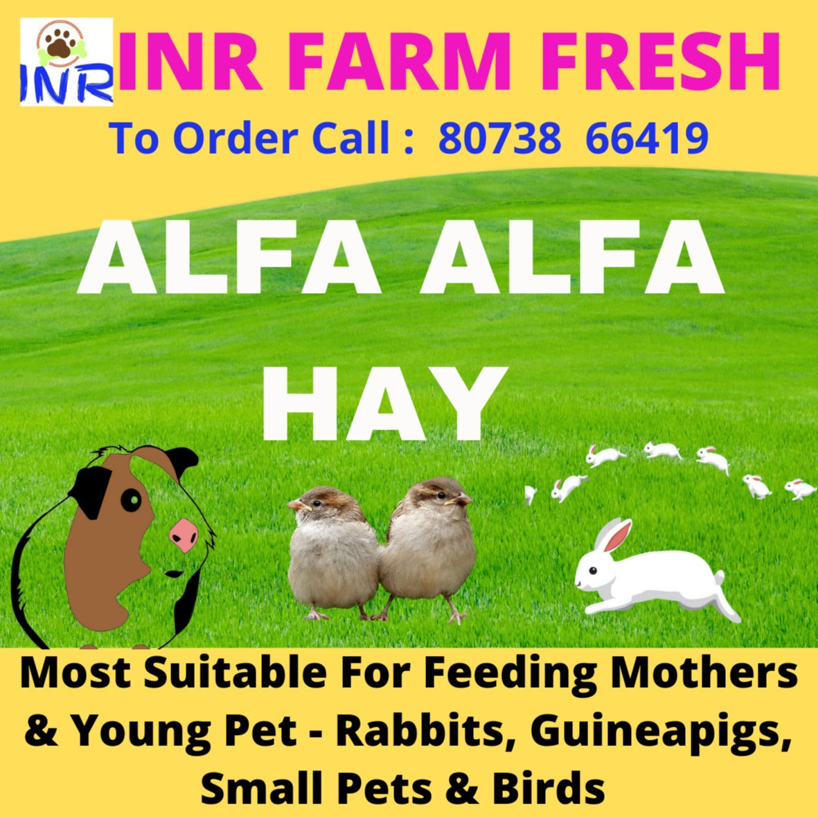 INR'S Farm Fresh Premium Alfa Alfa Hay ( Lucerne fodder plant ) – My ...